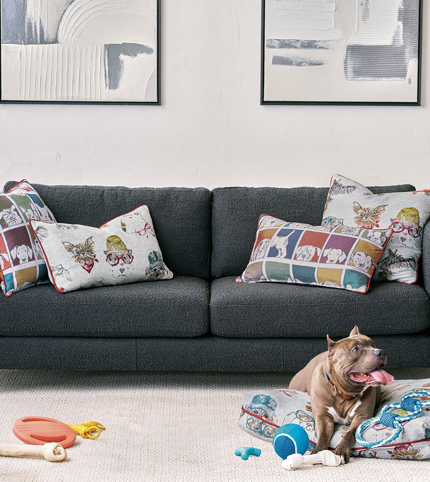 Pets Collection | Eastern Accents